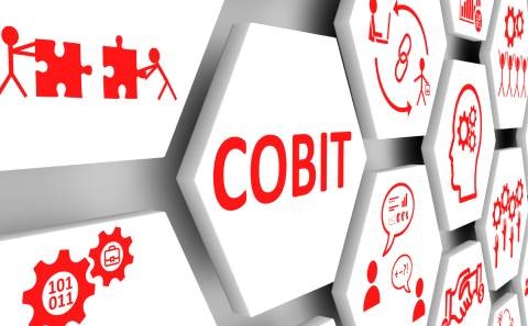 Discover the five Cobit principles and their benefits